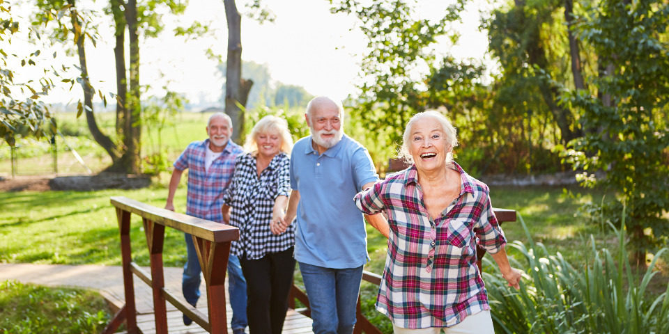 Why Wellness Programs are Important for Seniors - Premier Senior Living ...